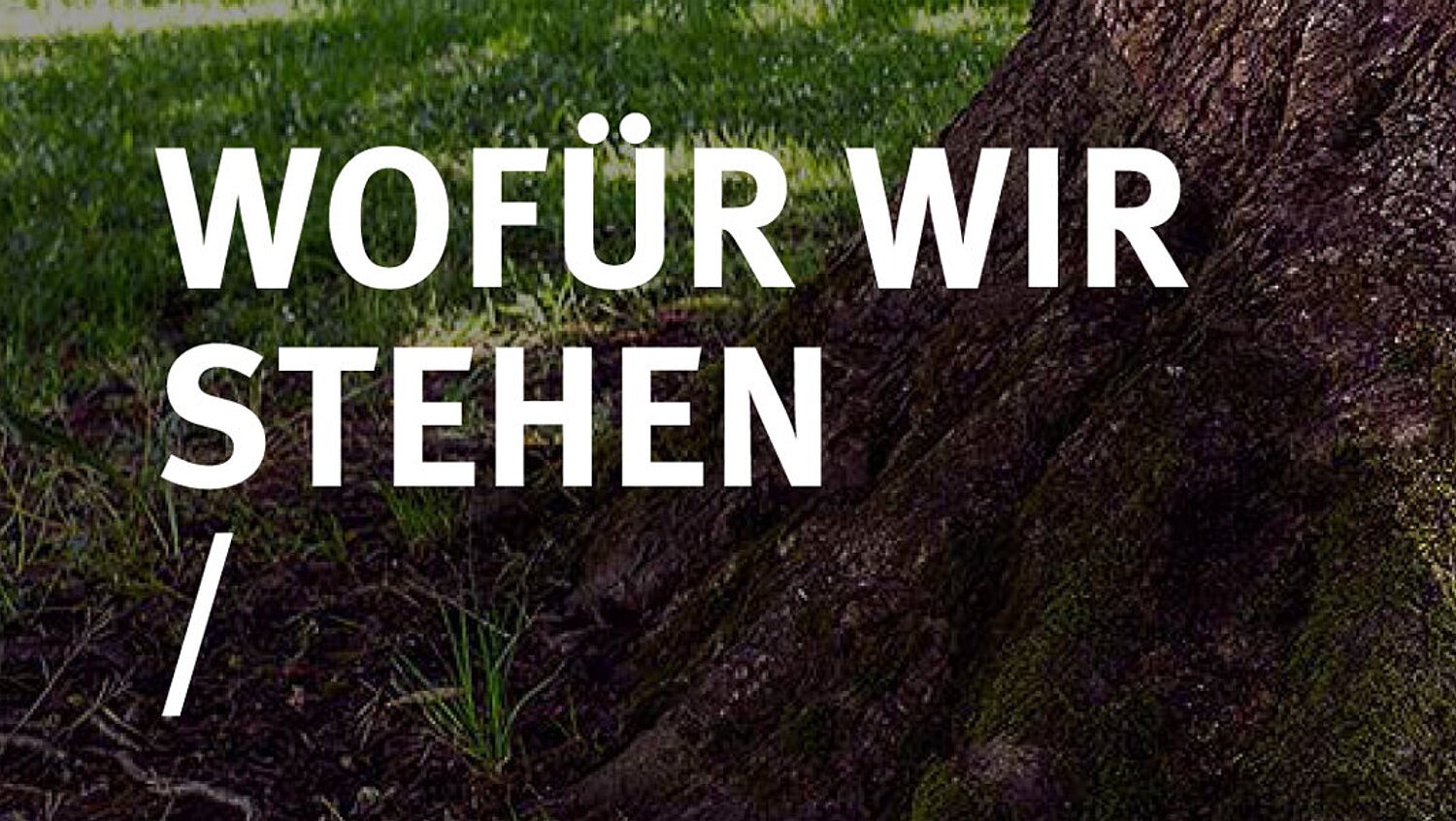 Das ZfP Südwürttemberg: Psychiatrische Versorgung